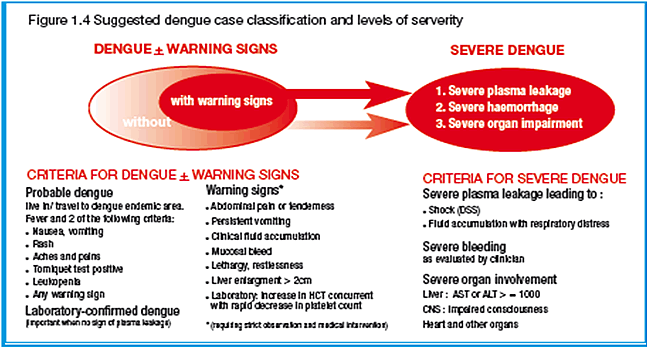 Dear, Auntie: Bone Break Fever