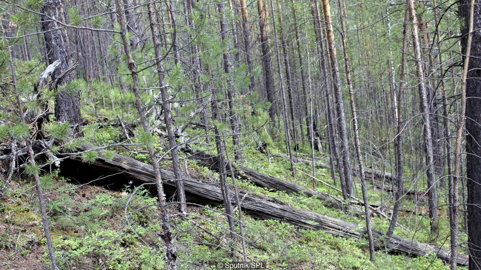 In Siberia in 1908 , a huge explosion came out of nowhere ~ 8factforver