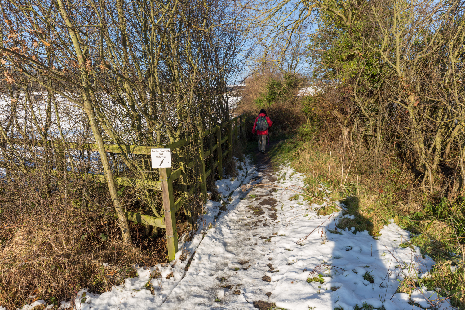 Epping forest oak trail