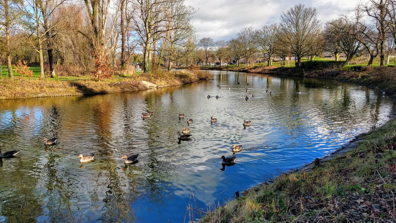 A Passion For Cards: Victoria Park, Sydenham, Belfast
