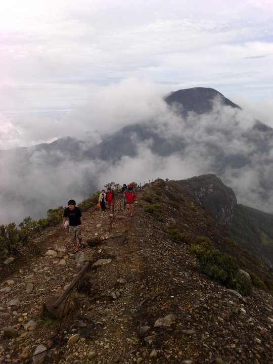 aventura: THE ADVENTURE OF MOUNTAIN GEDE - PANGRANGO