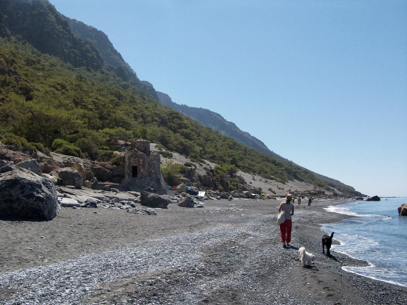 Travel Crete With Your Dog: 5 best Cretan beaches...with your dog