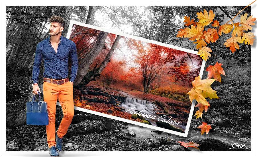 PSP Design: Autumn Colors