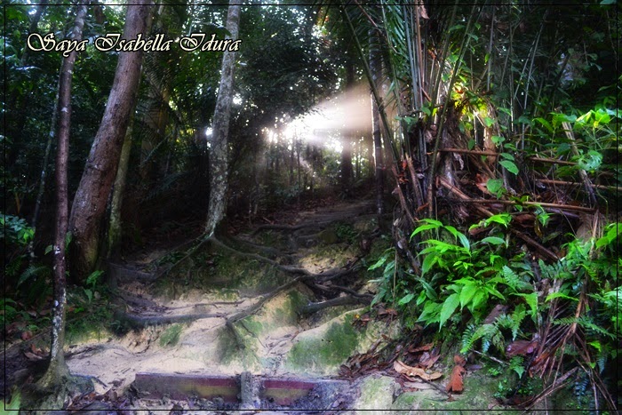 Meneroka Bukit Saga di Ampang KL - Bella Idura