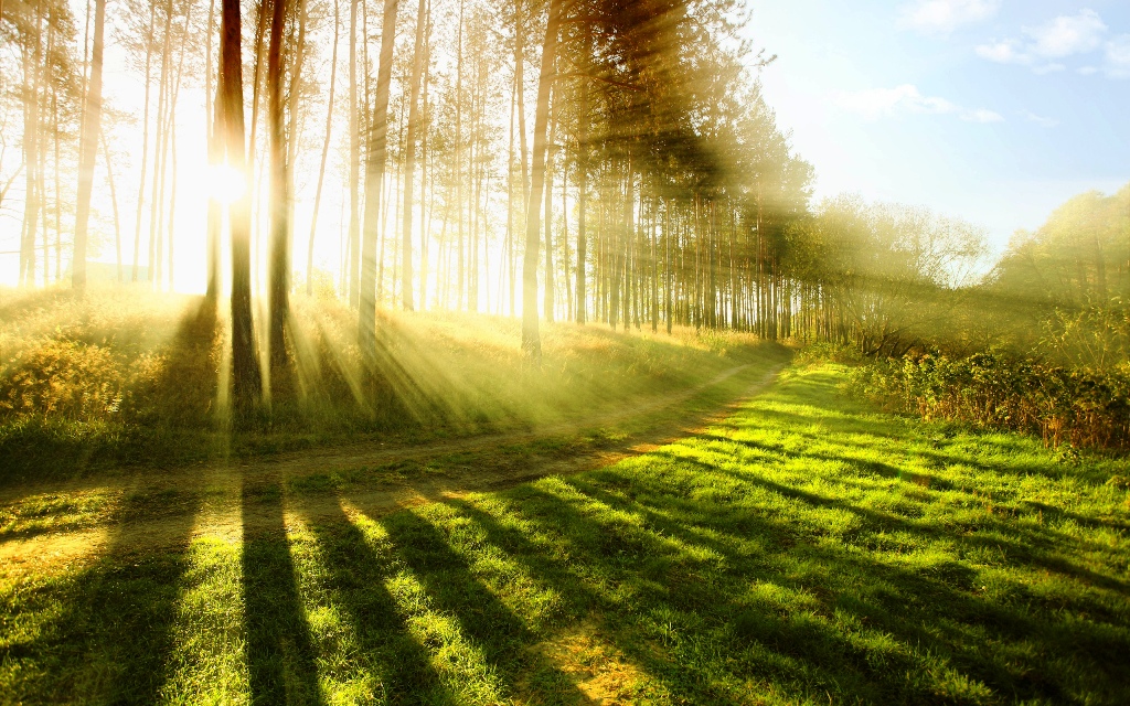 sweetlolitasara: Kumpulan Ucapan Selamat Pagi Romantis Terbaik