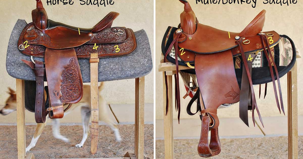 The 7MSN Ranch: Mule Bars