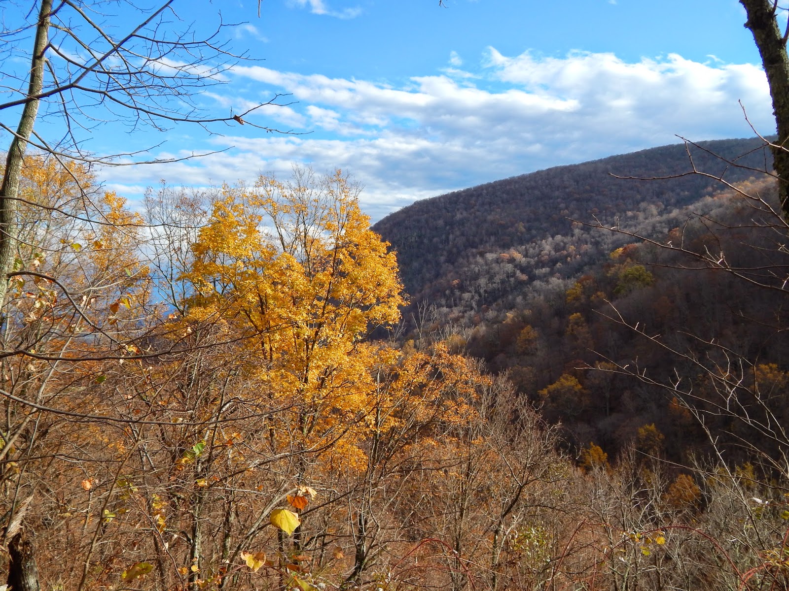 Those Who Wander: South River and Pocosin
