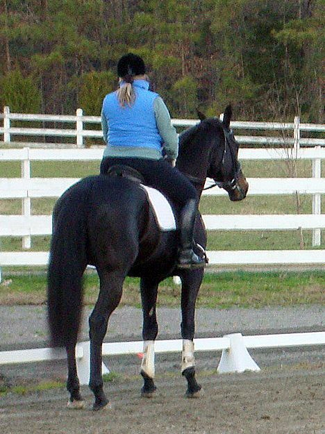 Melodye Sweetin Dressage