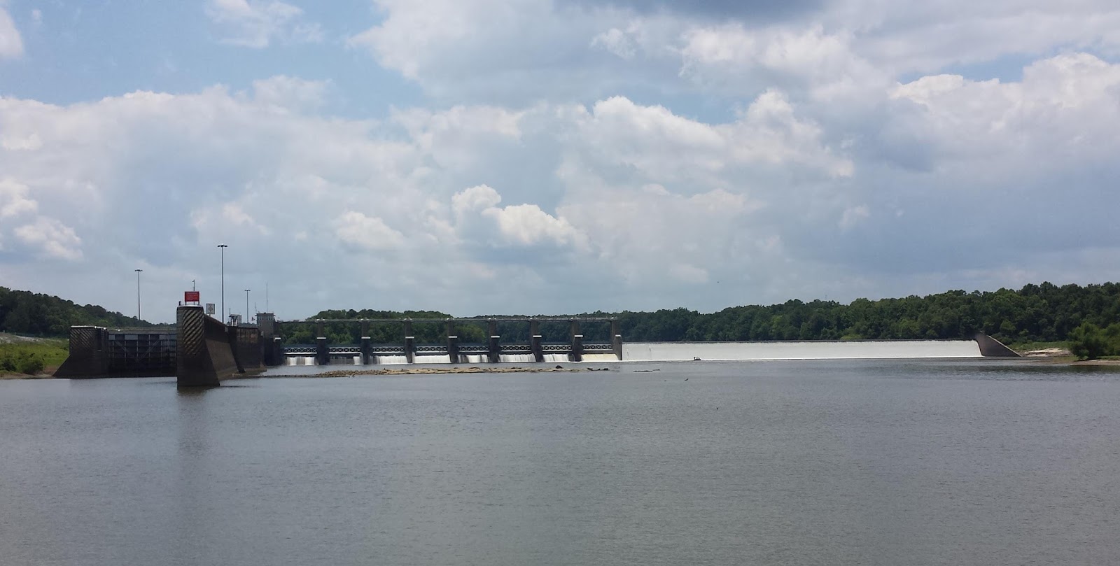 Our Odyssey: Demopolitan Mayfly Mayhem