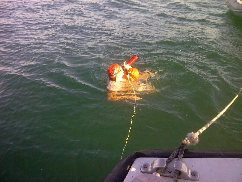 Sea Leopard Charter: Kent Nicholas - successful solo Channel swim - 1st ...