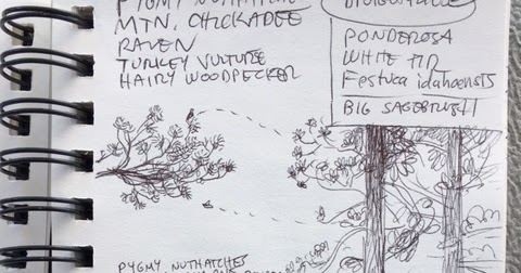 Laura Cunningham Art and Nature