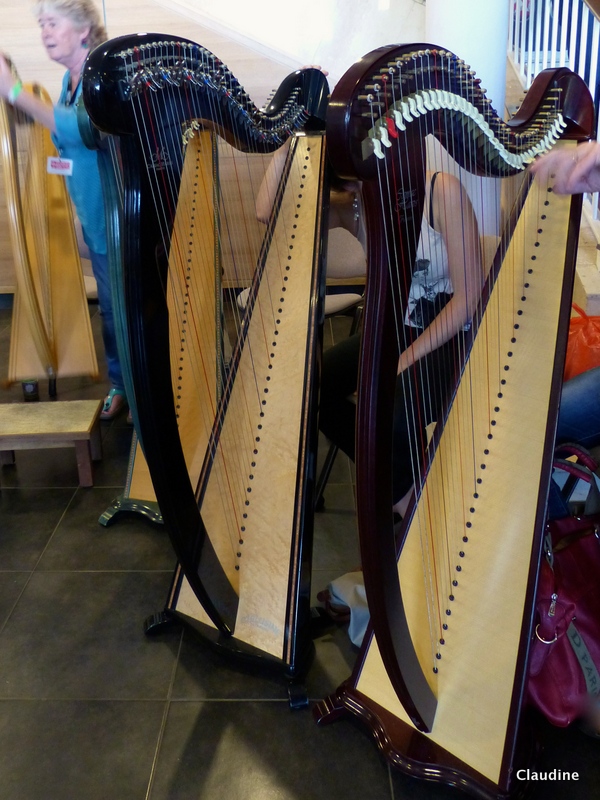 Le retour chez Canelle: Harpe celtique