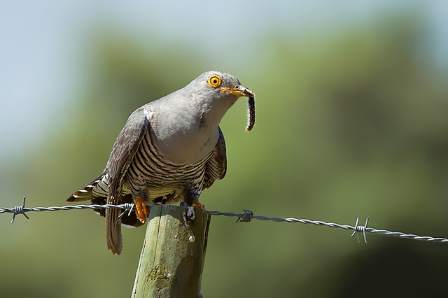 Natureza, Perfeição sem tamanho...