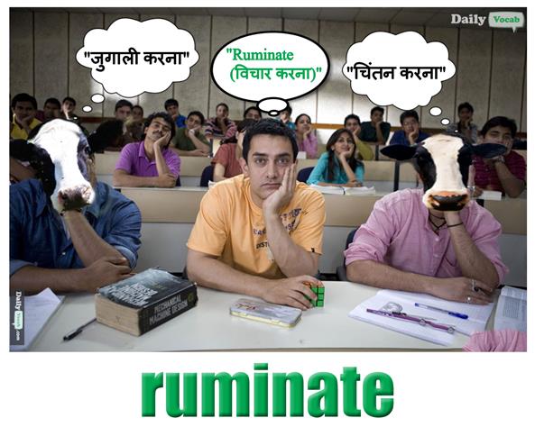 EXAMS AND ME : Ruminate and Ruminant