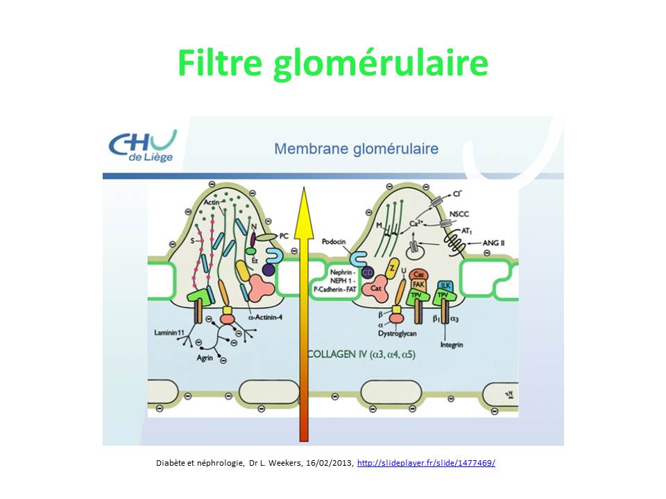CAnalyses: Etudes de Cas Analyses Medicales CAnalyses: Etudes de Cas Analyses Medicales