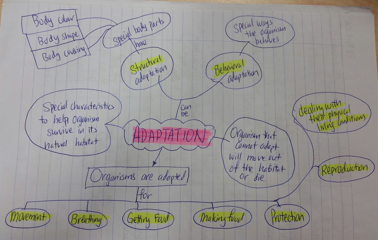 Welcome to 6E Science!: April 2016
