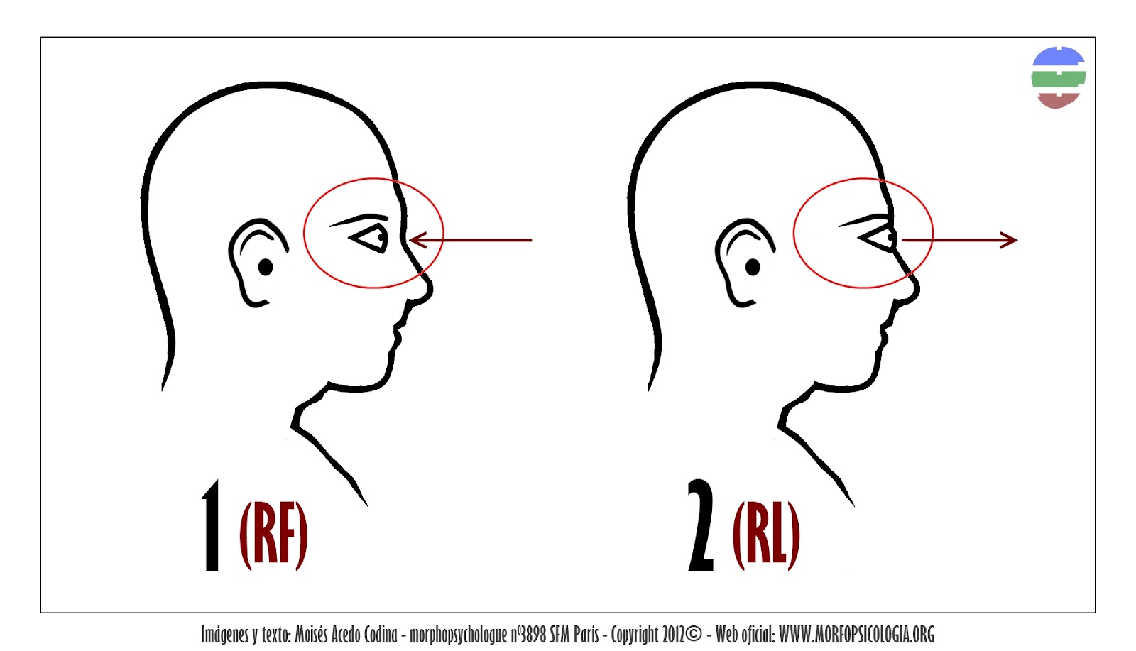 Moisés Acedo Codina: LA PROTECCIÓN Y PROYECCIÓN DE LOS OJOS