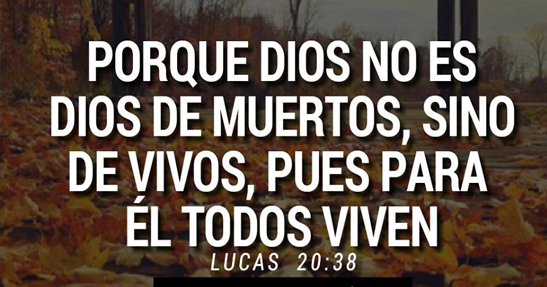 Lucas 20:38- Comparte la Biblia - Versículos Bíblicos