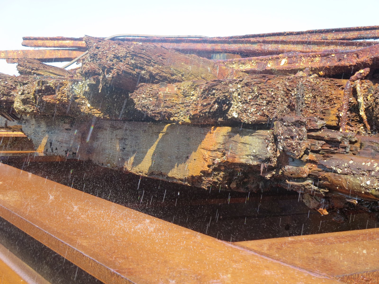 The Civil War Picket: A trip to the CSS Georgia recovery site: Nine ...