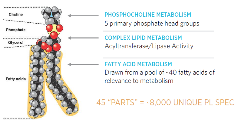 Life is About Science: LAB 5 : LIPID ANALYSIS