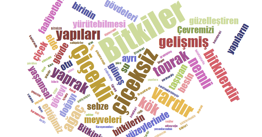 EBRU KAMİLE DİRİCE: 12. KELİME BULUTU