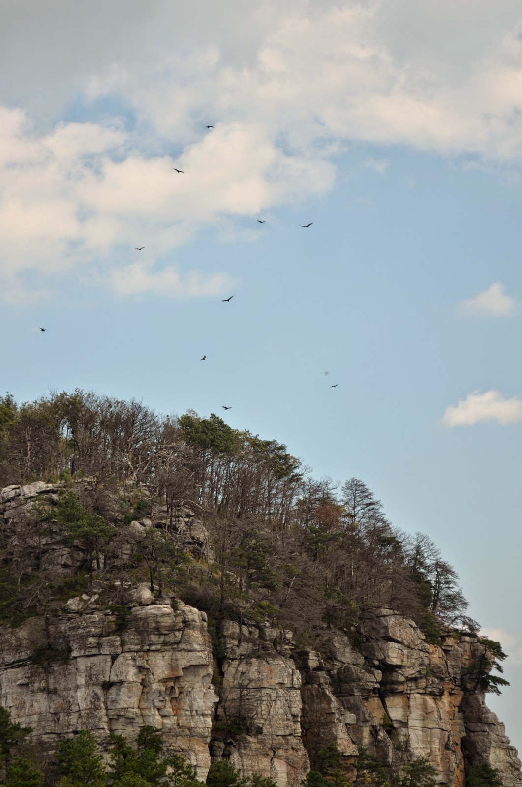 In the hazy distance you can see the outline of my city, I thought this ...