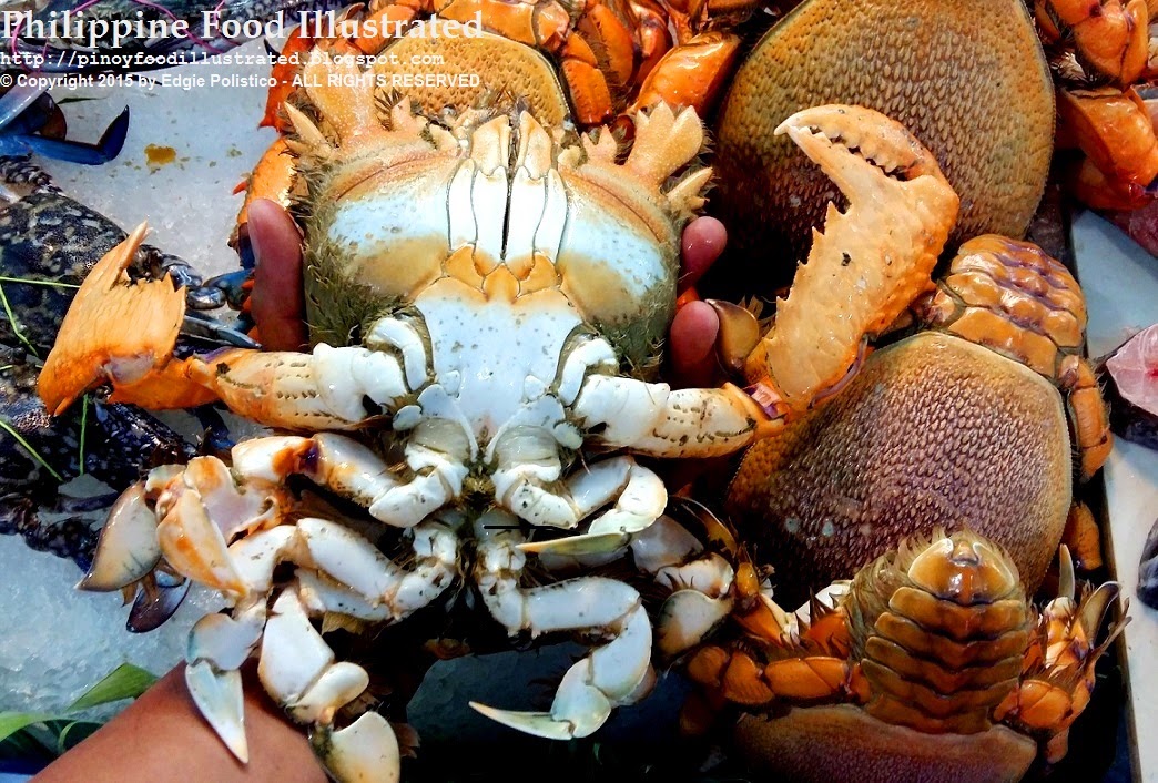 Philippine Food Illustrated: curacha