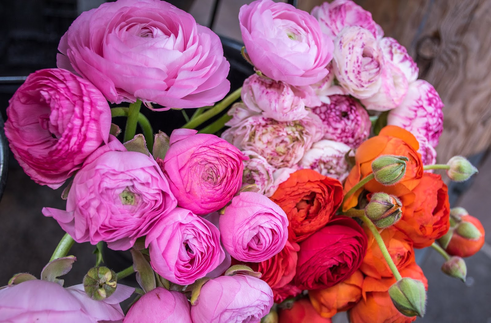 WSDA AgBriefs: American Flowers Week promotes cut-flower producers