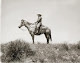 My Ranching Life: GERALD ROBERTS 1919-2004