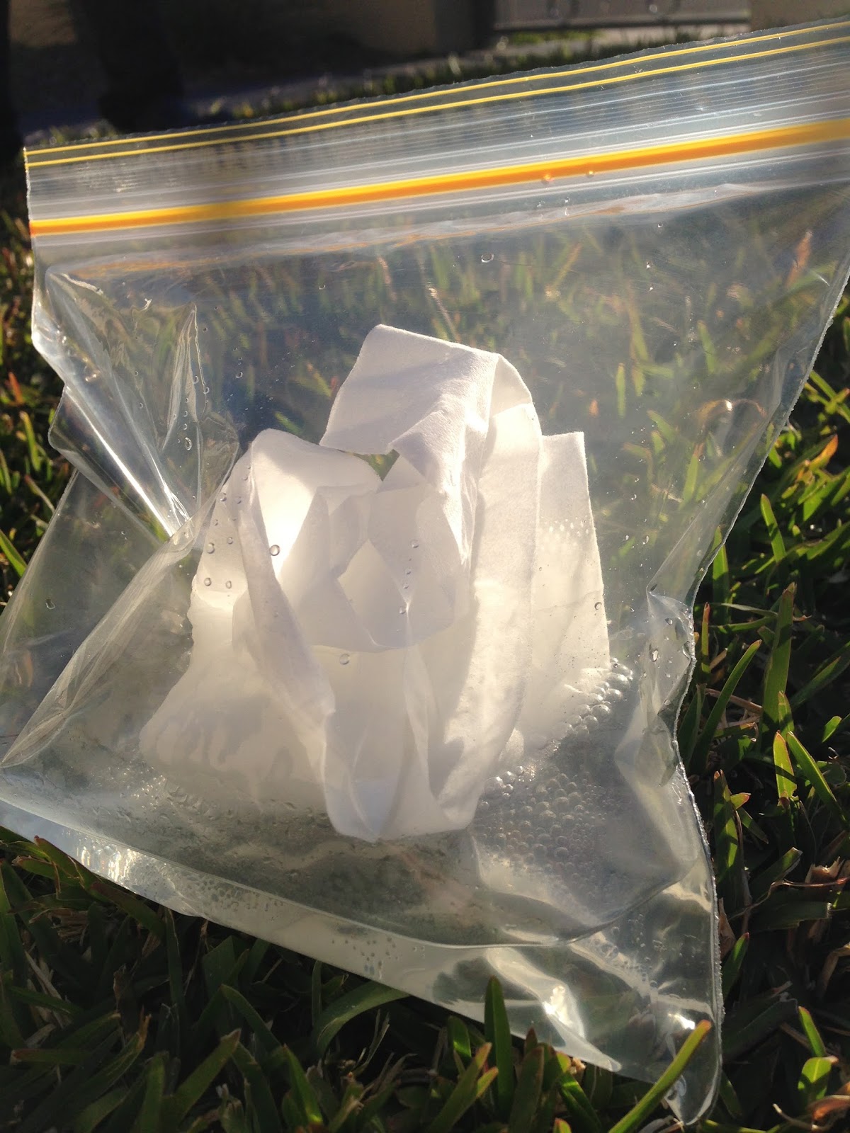 Science Monday! Science Experiments for young kids: Exploding Lunch Bag