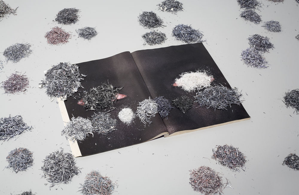 new analogue imaging: Christian Capurro