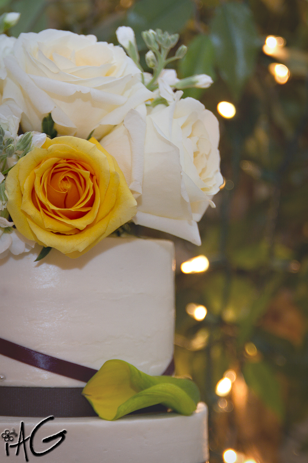 it'sALLgood photography: Bryan & Aubrey |January Cliff House Wedding|