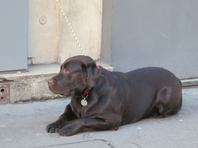 paris breakfasts: Django Reinhardt