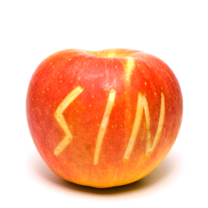 Gods Masterpiece--FAITH: PROVERBS 31 WOMAN