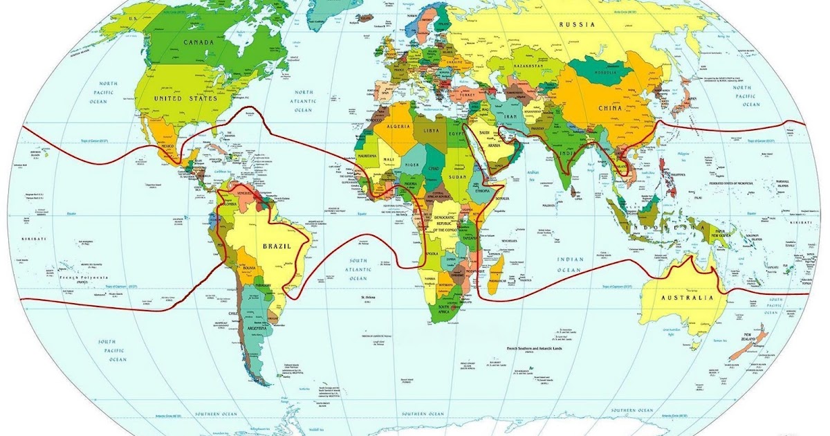 Global Distribution of the Coconut Palm