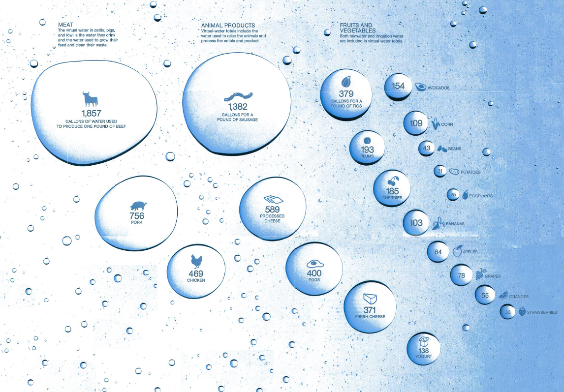 The Water Crisis: Behind the Scenes: The Concept of Virtual Water