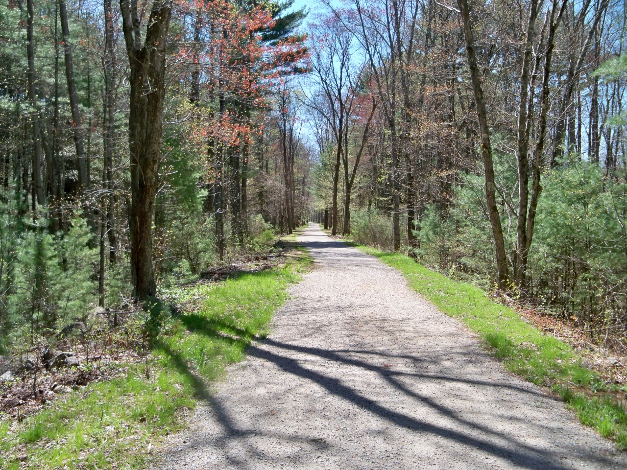 Trunk Trail Definition at Troy Jenkins blog