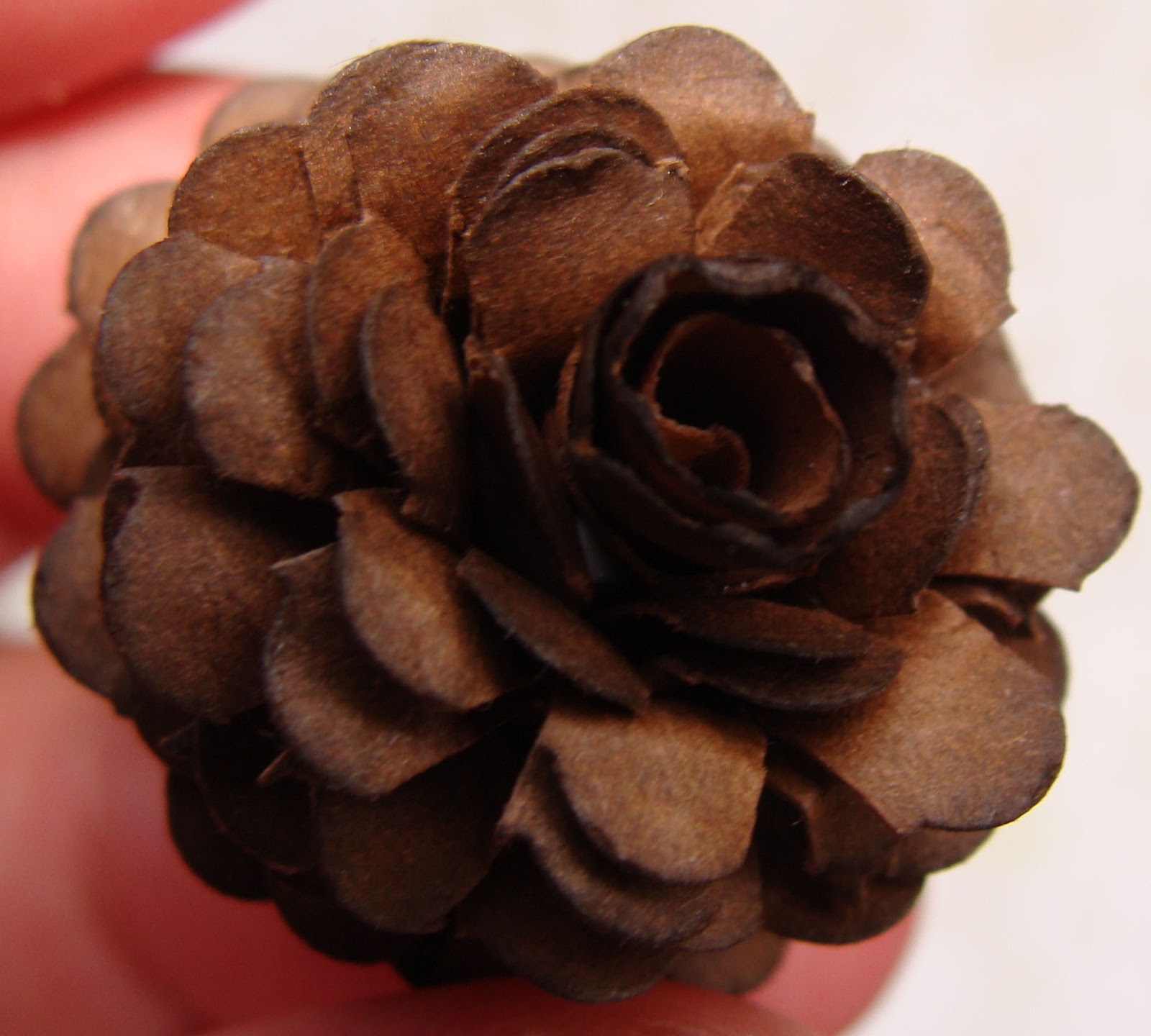 A STROLL DOWN MEMORY LANE: Pine Cones Tutorial