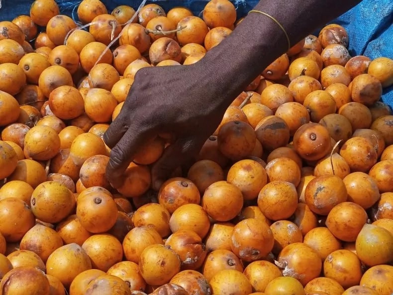 Great Medical Advantages Of 'Agbalumo - FOW 24 NEWS