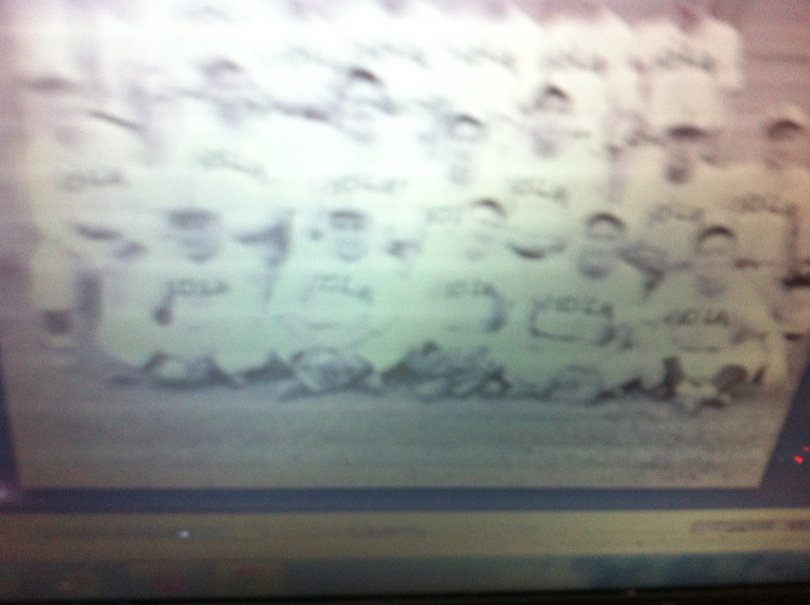 THE BLACK SOCIAL HISTORY:: BLACK SOCIAL HISTORY : AFRICAN AMERICAN ...