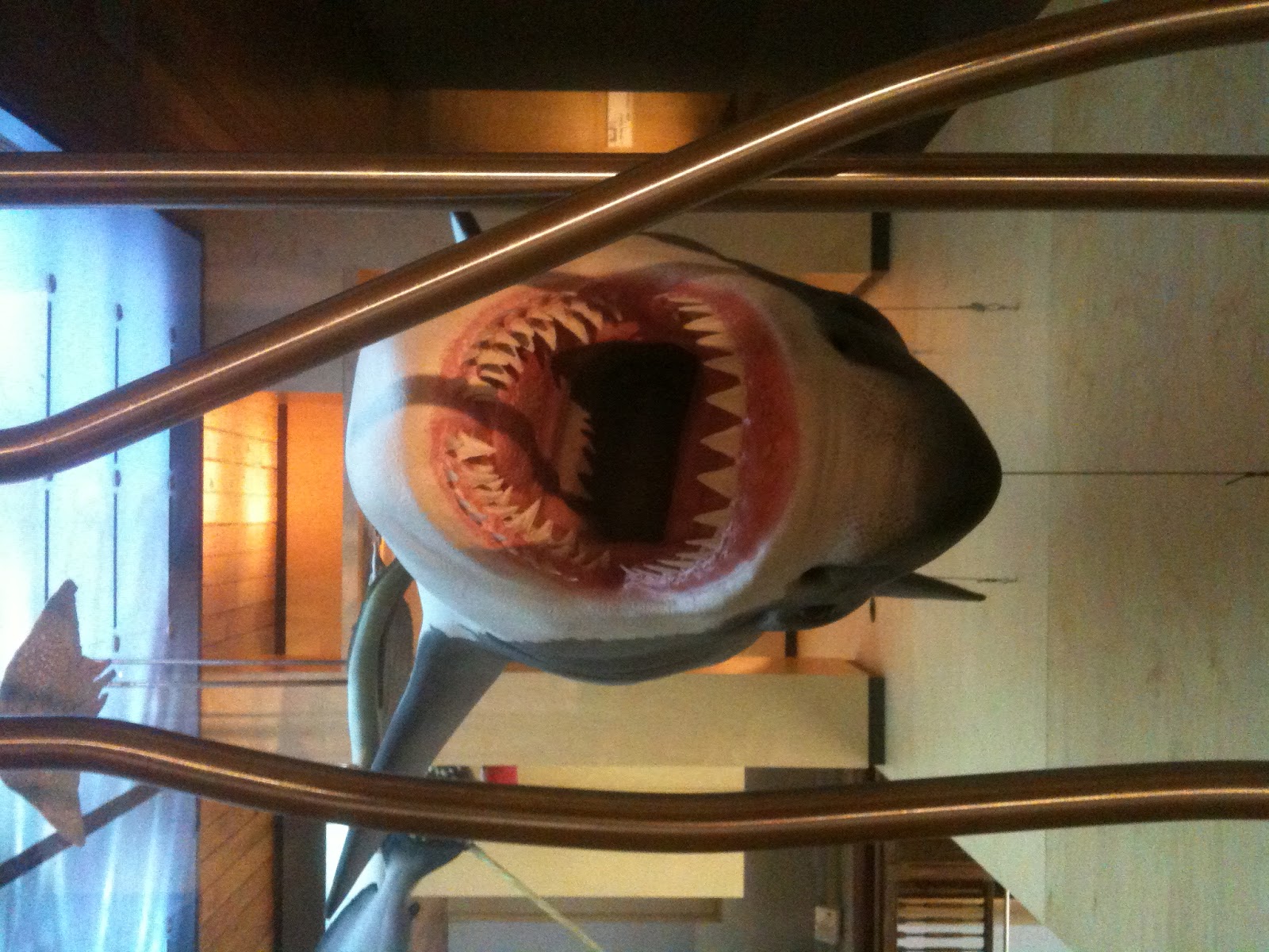 Places, Ideas and Things: The Great North Museum (Hancock Museum)