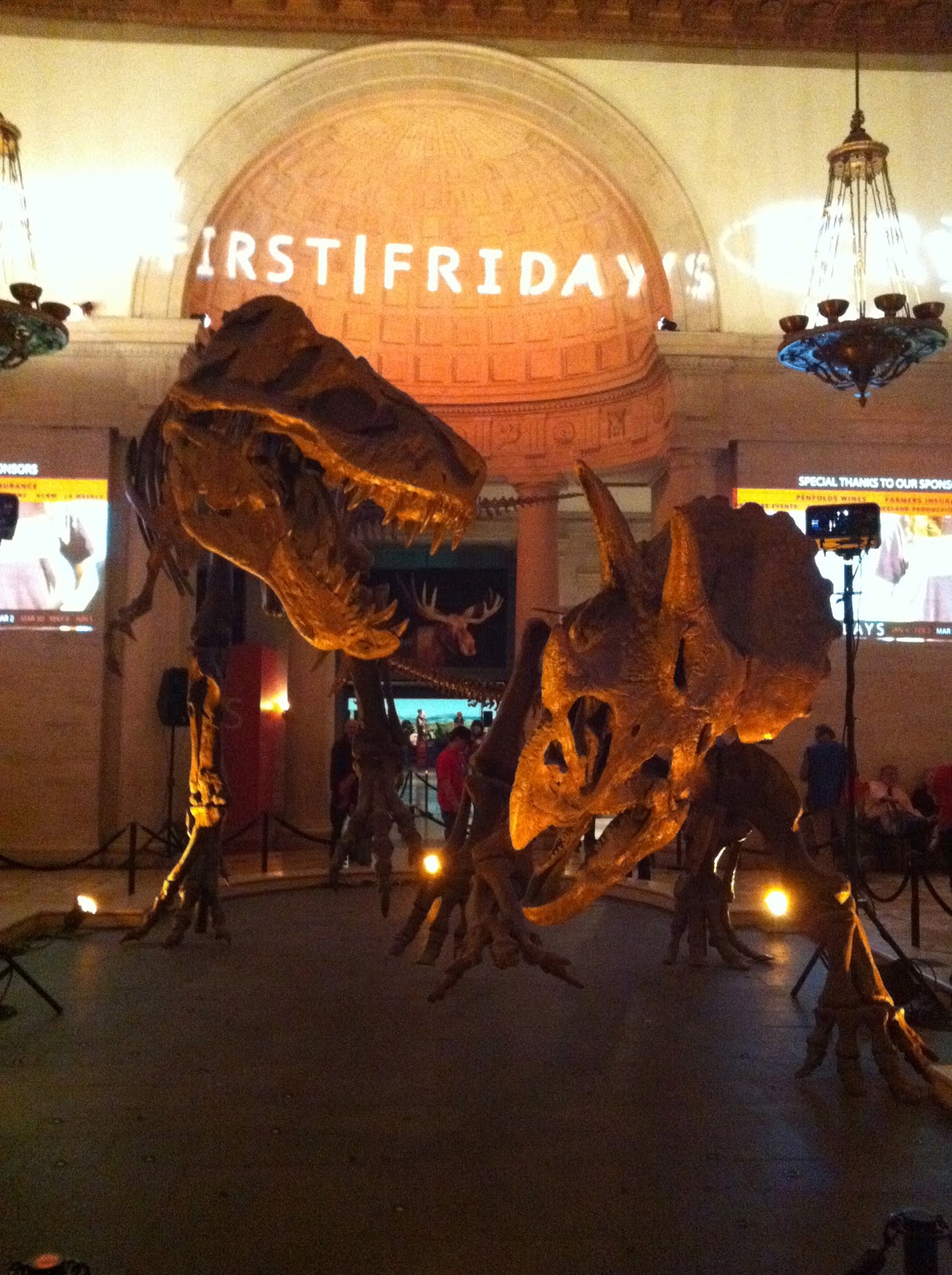 First Friday at the Natural History Museum