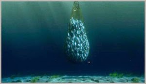 Whatsoever Critic: June 2014