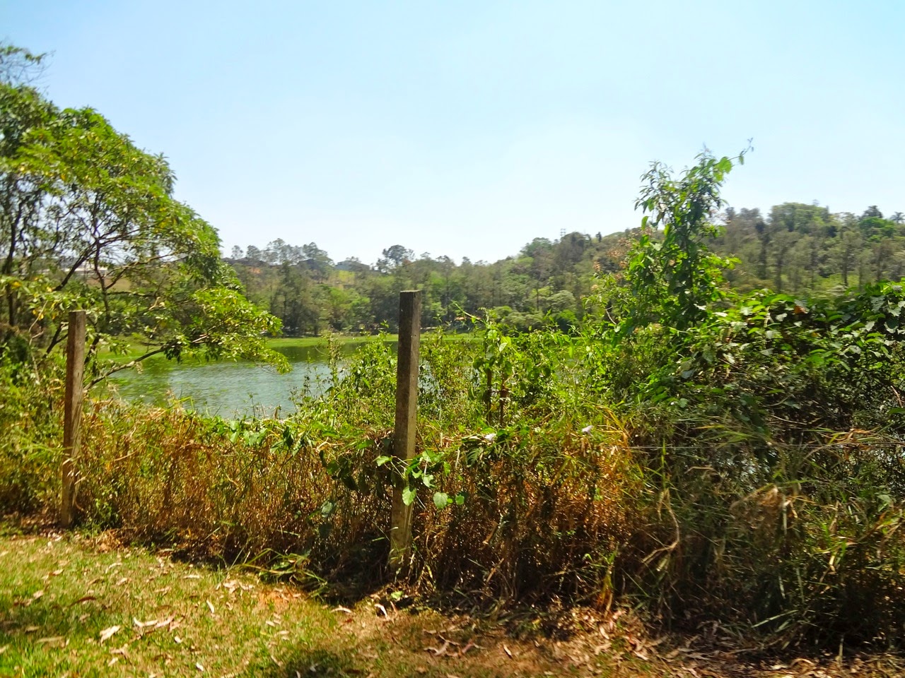 Parque Ecológico de Barueri (ex-Parque Ecológico do Tietê - Núcleo Ilha ...