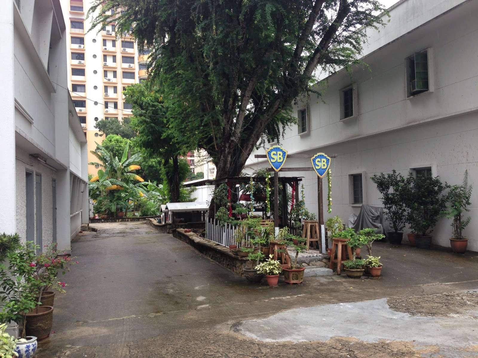 POP YEH YEH RESEARCH TRIP: Took a bus back to SIngapore the very next ...