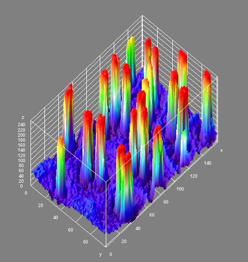 Sciency Stuff: Notes on Biological Image Analysis