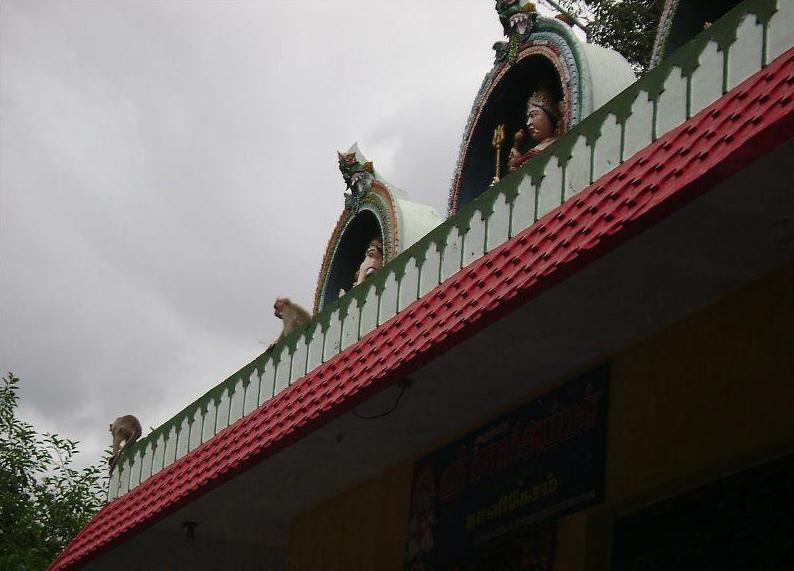 Tamilnadu Tourism: Kalikesam Forest & Waterfalls – Kali Amman Temple