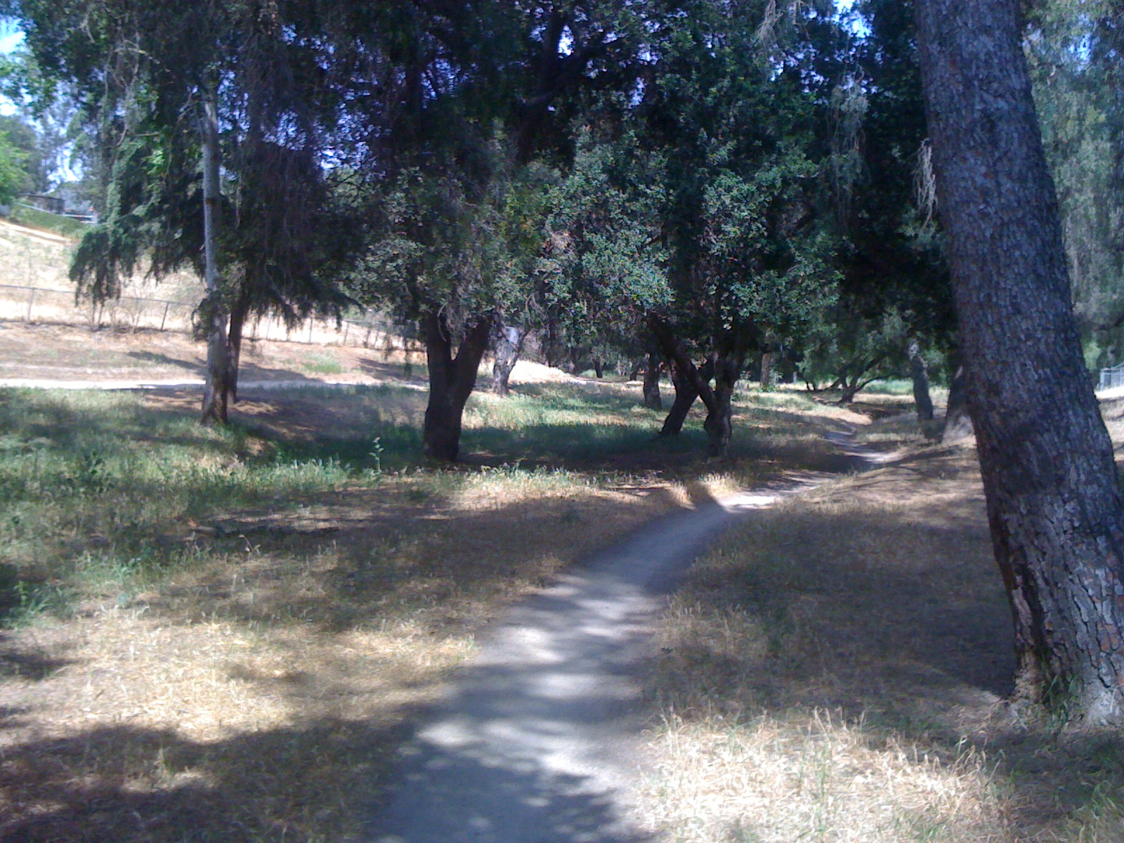 Writing Anything: Mountain Bike Trail Review: Fullerton Loop Trail