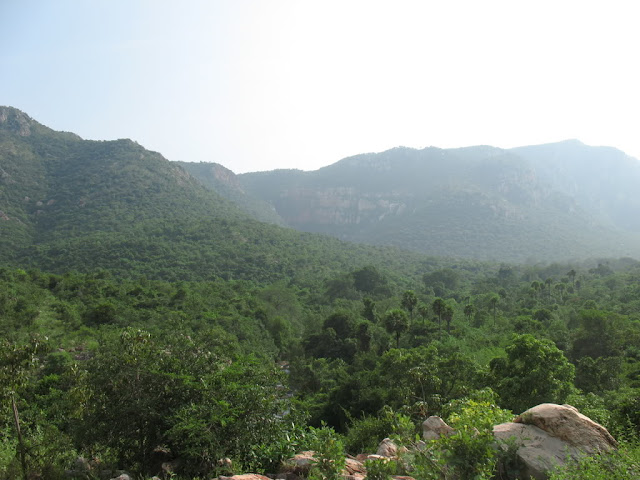 Tamilnadu Tourism: Ubbalamadugu Falls (Tada Falls)