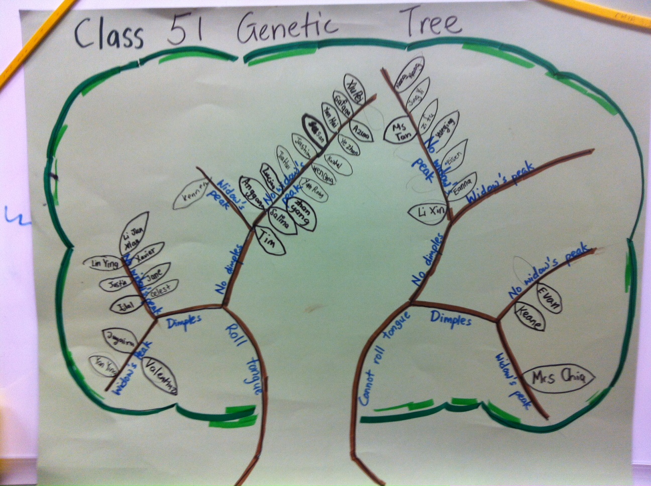 My Learning Journey As A Science Educator